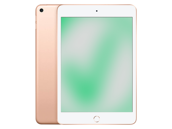 Acquista a buon prezzo Apple iPad mini 5. Gen (2019), 256 GB, Wi-Fi Oro ...
